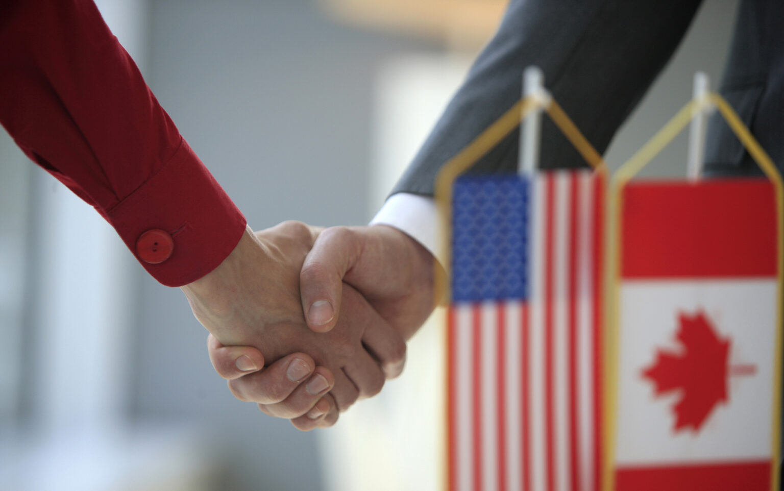 Expanding North: Exploring Canadian Market Entry and Partnerships